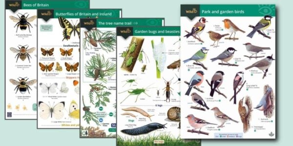 Wildlife guides and gifts – Field Studies Council