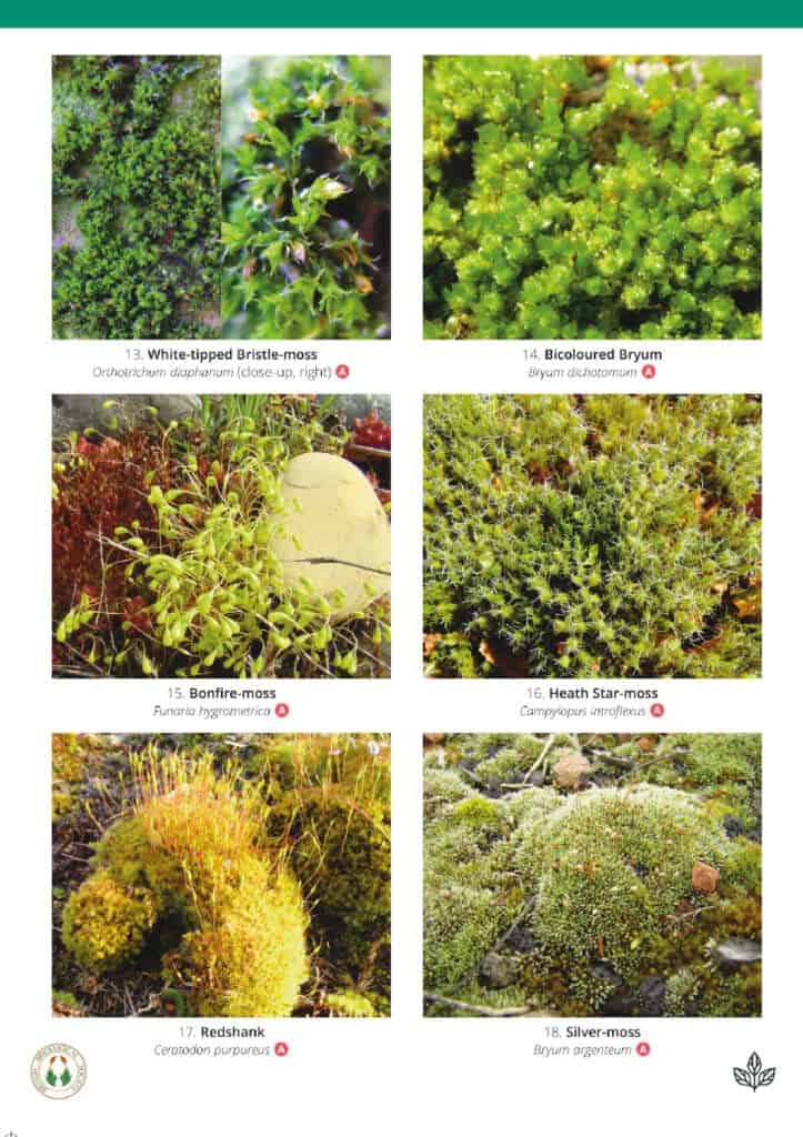 Garden mosses guide – Field Studies Council