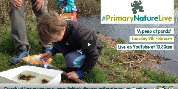 Primary Resources – Field Studies Council