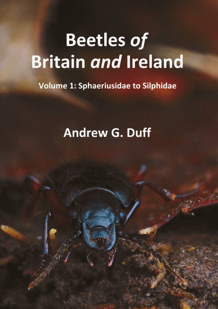 Beetles of Britain and Ireland | Sphaeriusidae to Silphidae | Andrew Duff