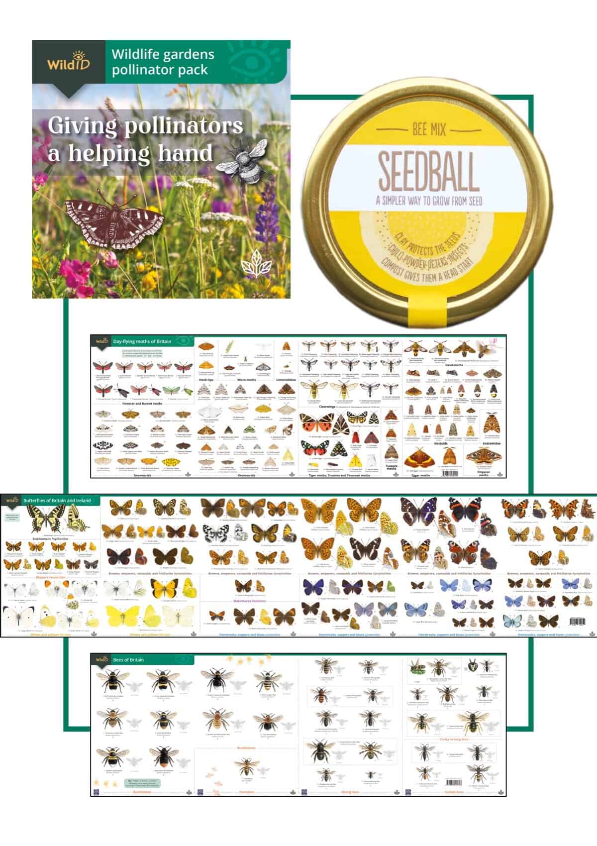 Pollinator pack - Bee mix – Field Studies Council