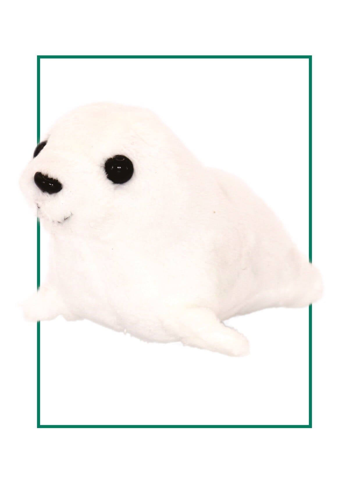 Seal – Field Studies Council