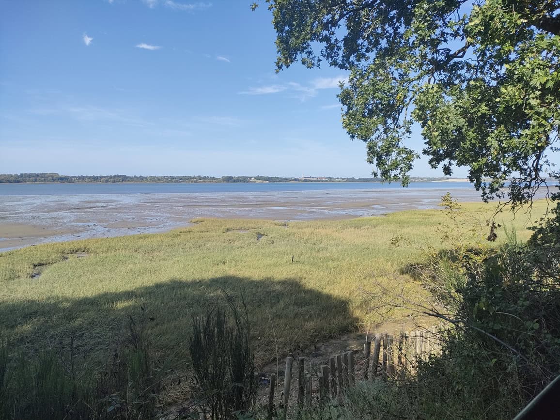 Exploring the River Stour – Field Studies Council