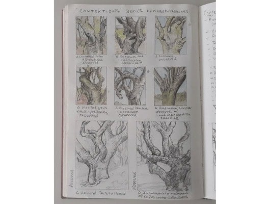 Drawing and Painting the Constable Way – Field Studies Council