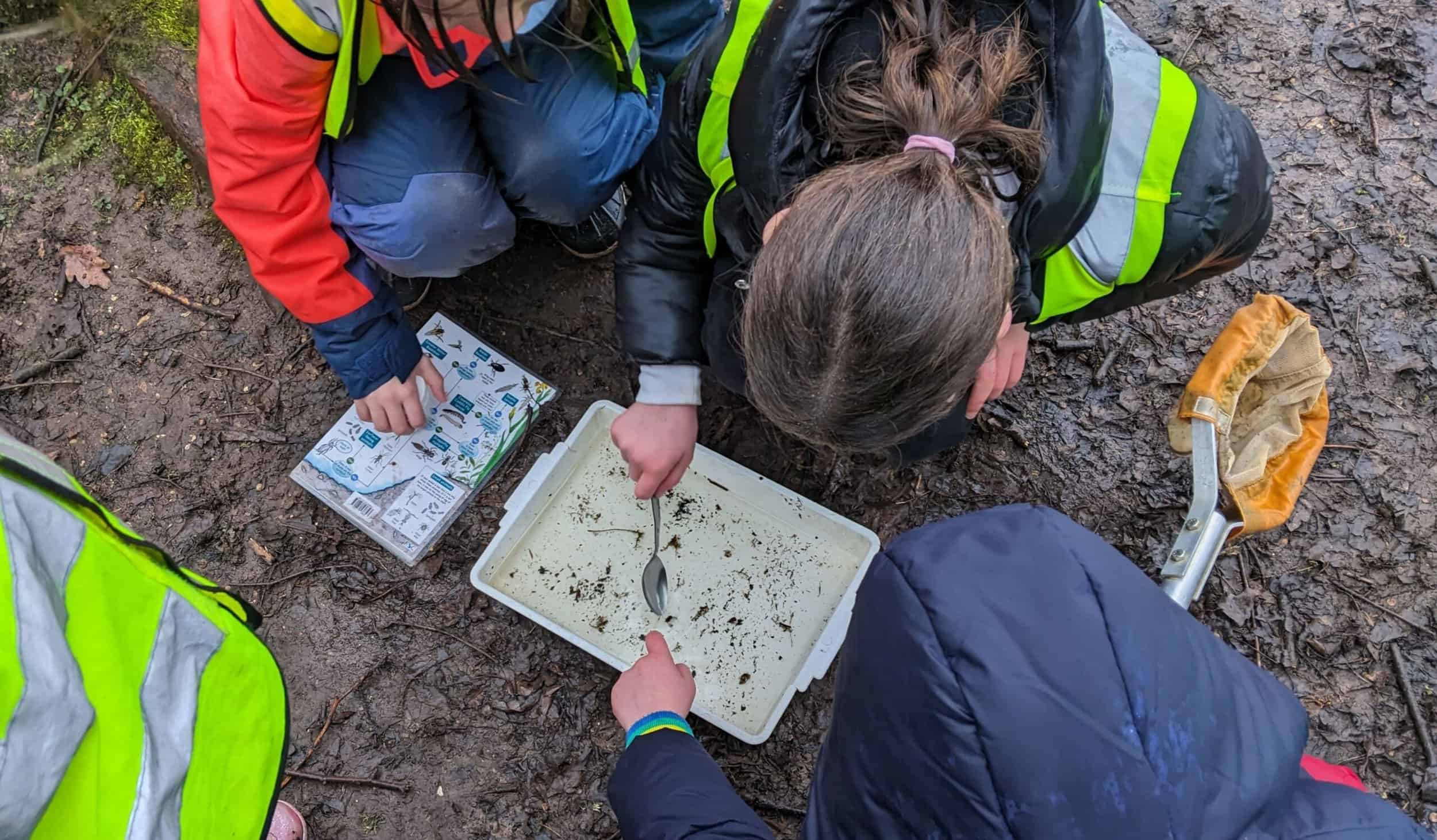 From urban classroom to open countryside – Field Studies Council