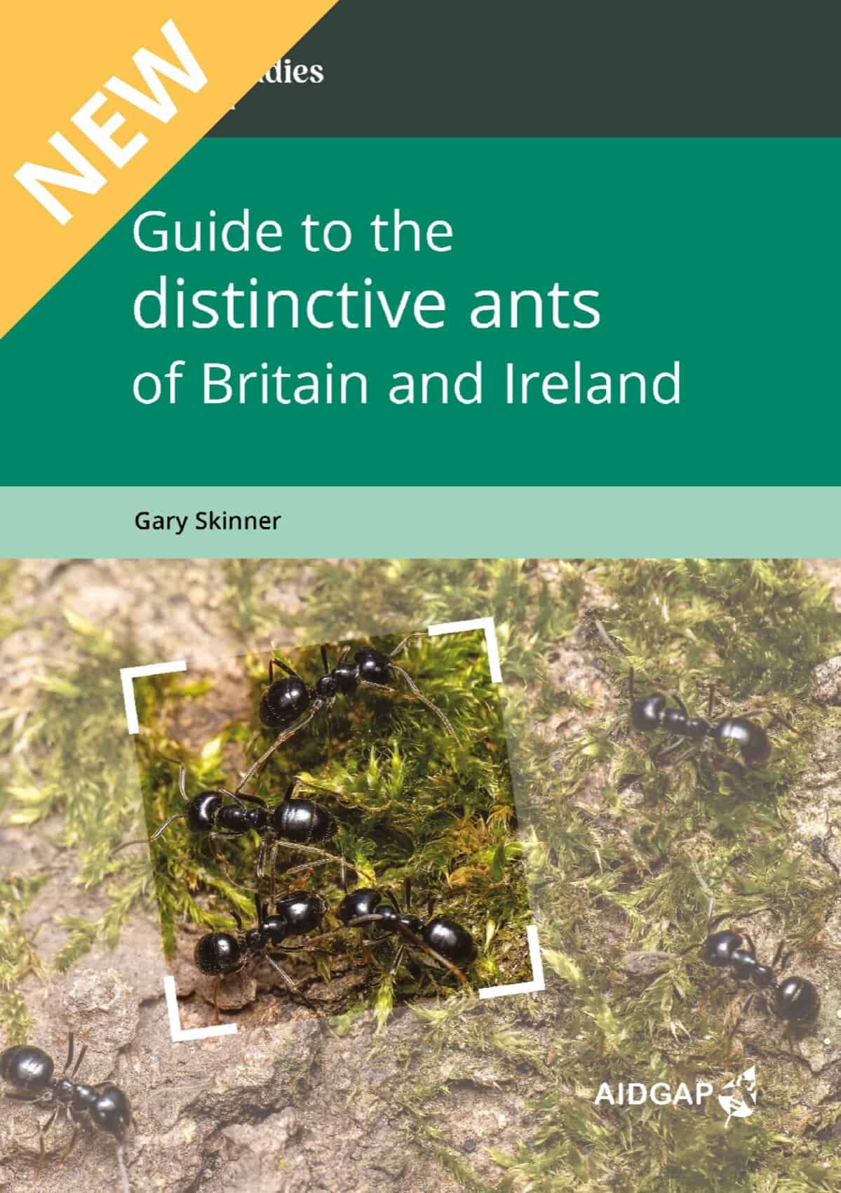 Ants | AIDGAP | Field Studies Council