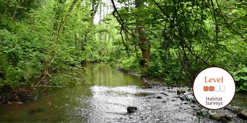 River and Riparian Habitat Stewardship with Riverlution – Field Studies ...